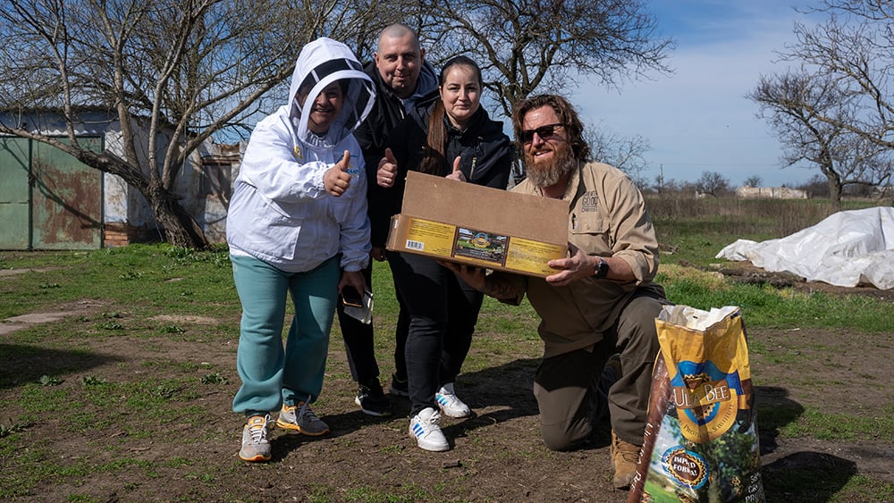 How Bees Affect the Food Chain